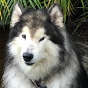 The May 50K - James Endres