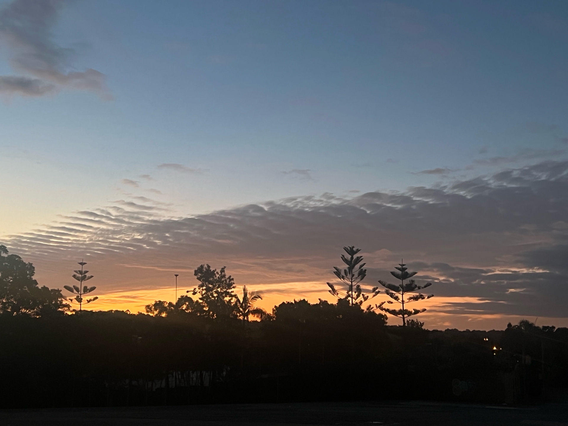 The May 50K - Kerry Gribble