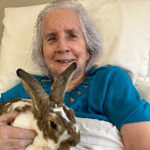 The May 50K - Naomi Bradley