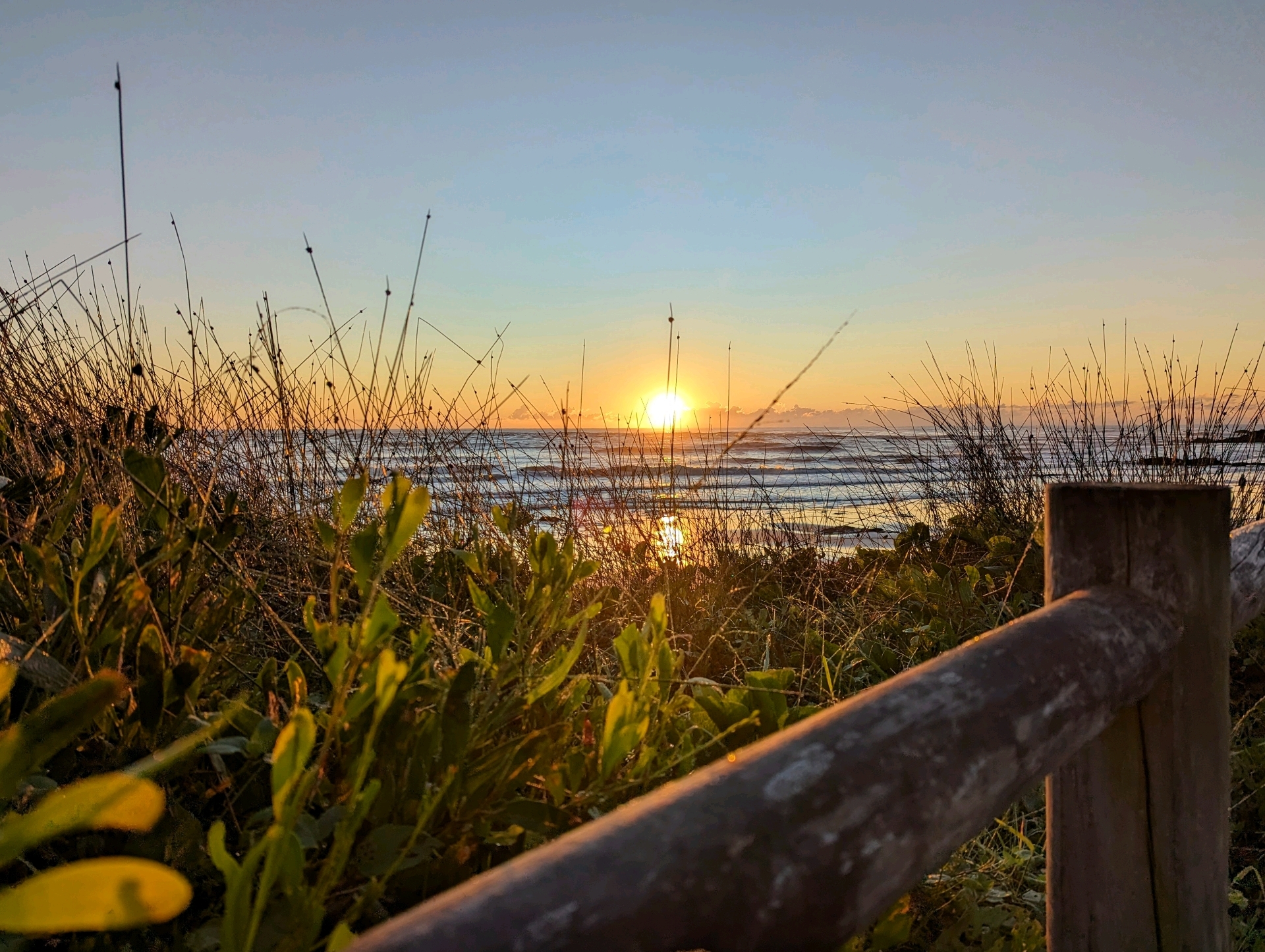 The May 50K - Bronwyn Martin