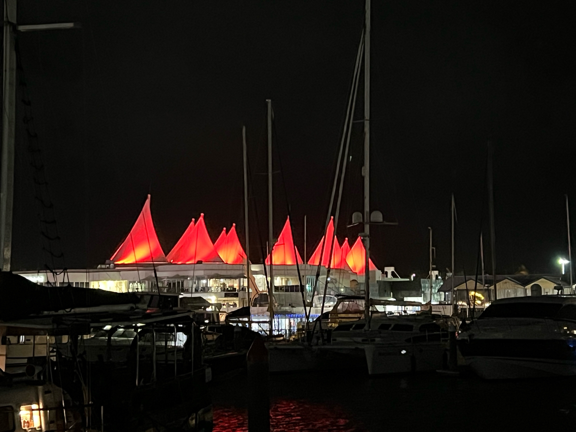 The May 50K - Kerry Gribble